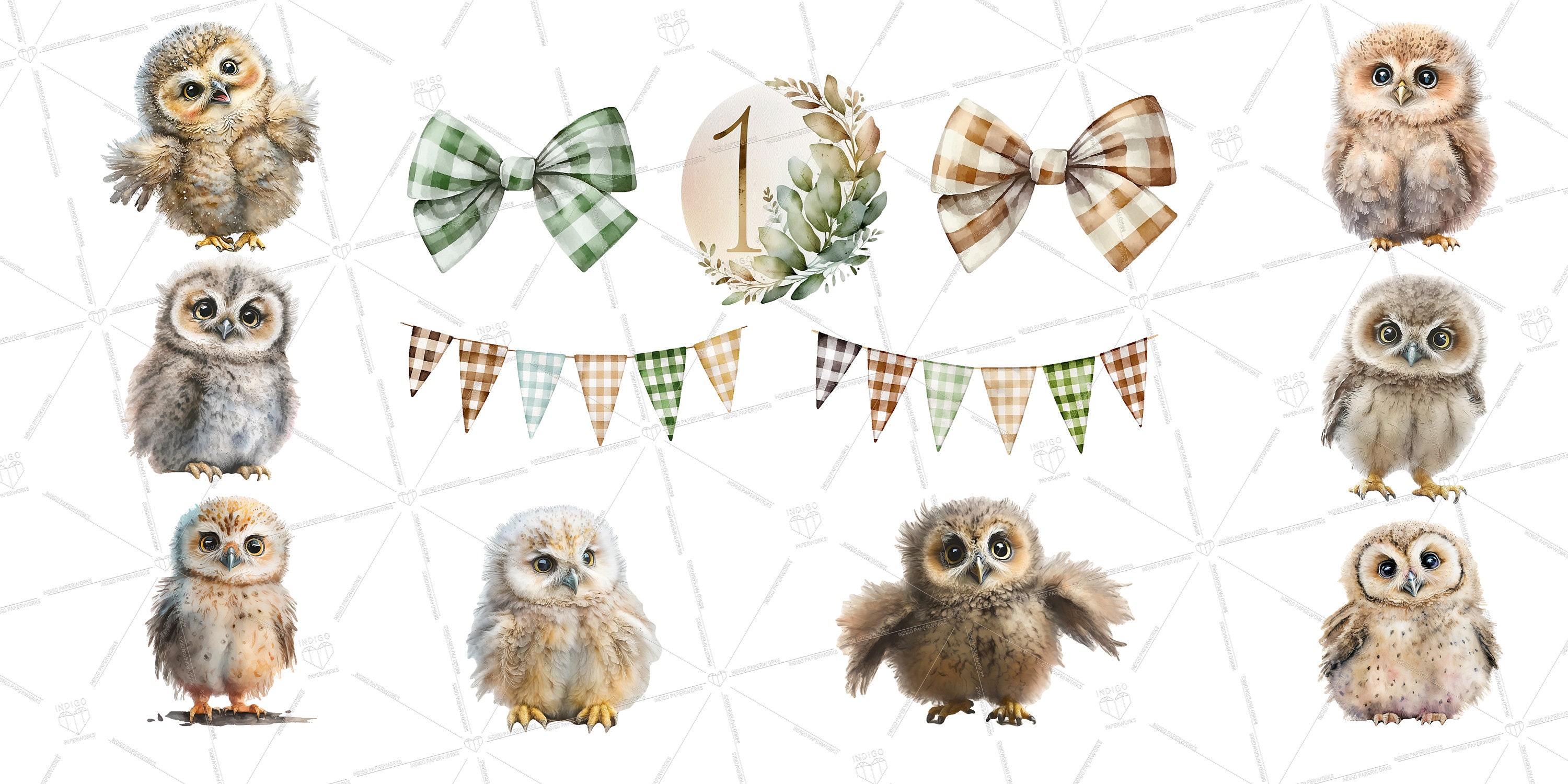 Baby Owl Watercolor Art Clipart 39 PNG Cute Baby Owl Clipart - Etsy