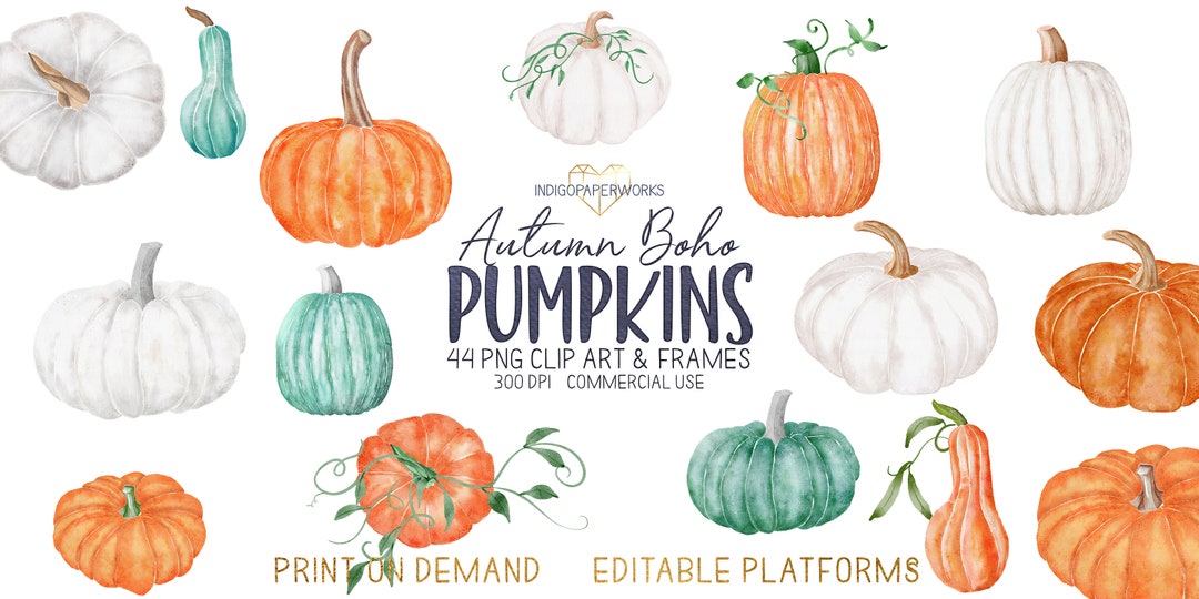 Autumn Pumpkins Clipart - 44 Hand Painted Watercolor Orange, White and ...