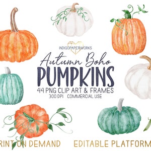 Autumn Pumpkins Clipart 44 Hand Painted Watercolor Orange - Etsy