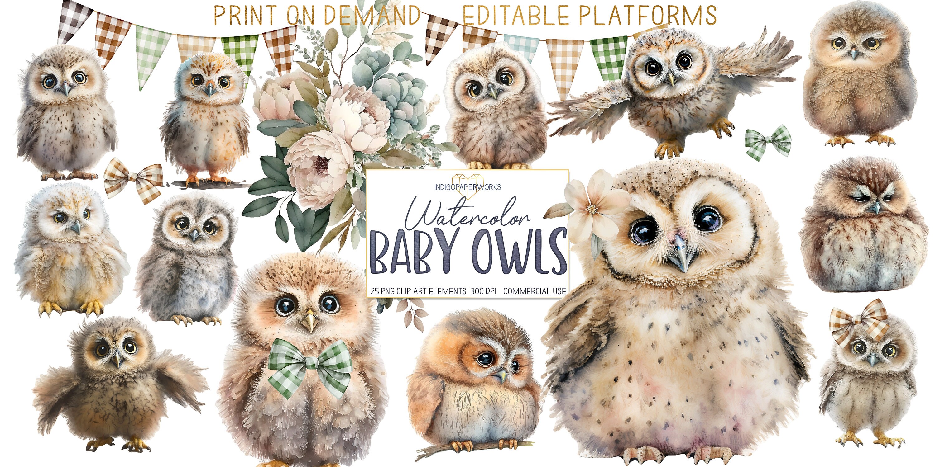 Cute Baby Owl Clip Art