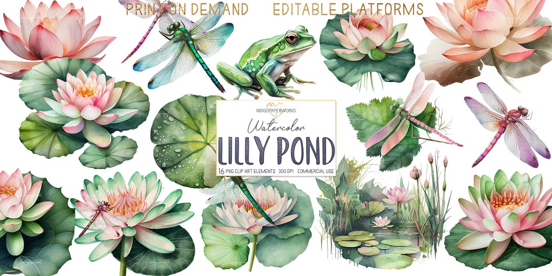 Watercolor Lily Pad Pond Clipart- 16 Cute Water Lily Flower Garden ...