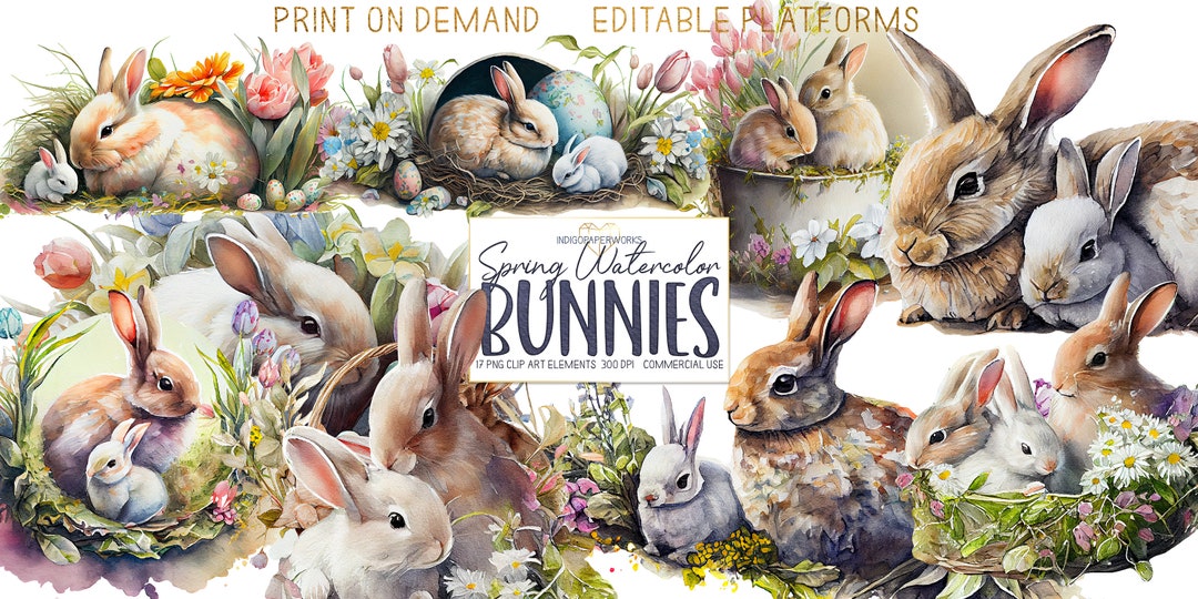Cute Springtime Bunny Rabbits Clipart 19 PNG Watercolor Graphic ...