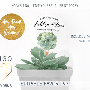 Watch Me Grow Succulent Favor Tags, 2" Round Plant Tags Botanical ...