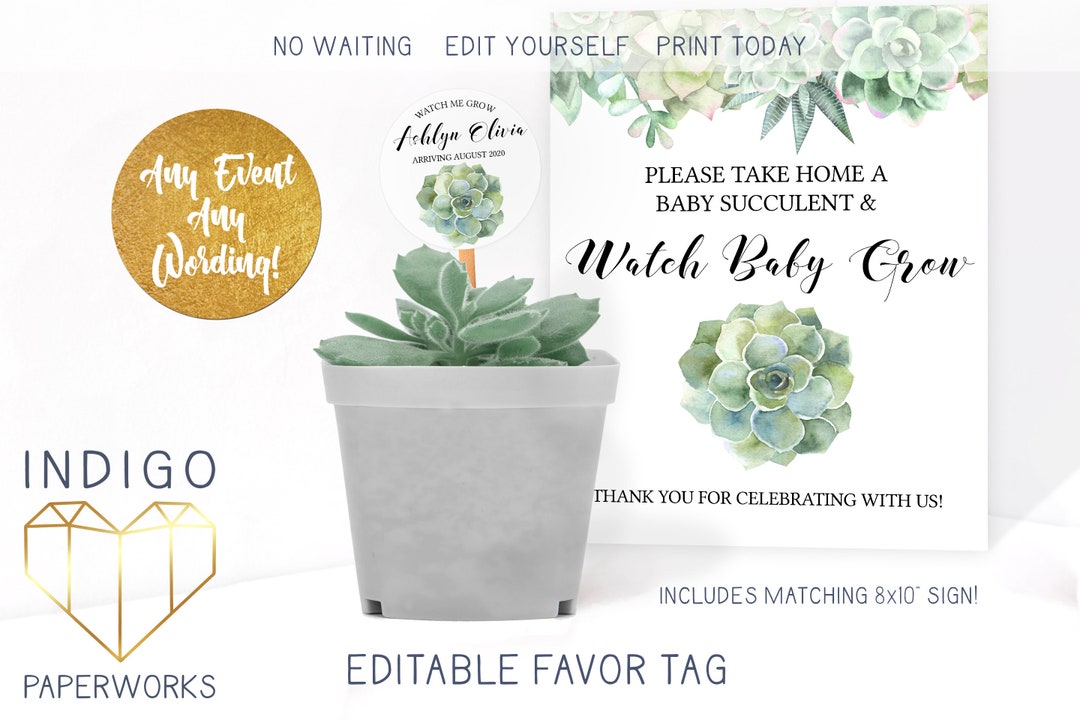 Watch Me Grow Succulent Favor Tags, 2" Round Plant Tags Botanical ...
