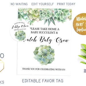 Watch Me Grow Succulent Favor Tags, 2" Round Plant Tags Botanical ...