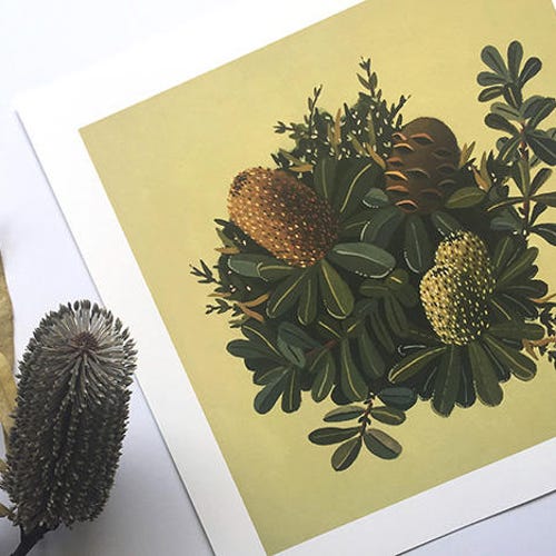 Australian Native Botanical Print / Green Banksia Artwork / - Etsy