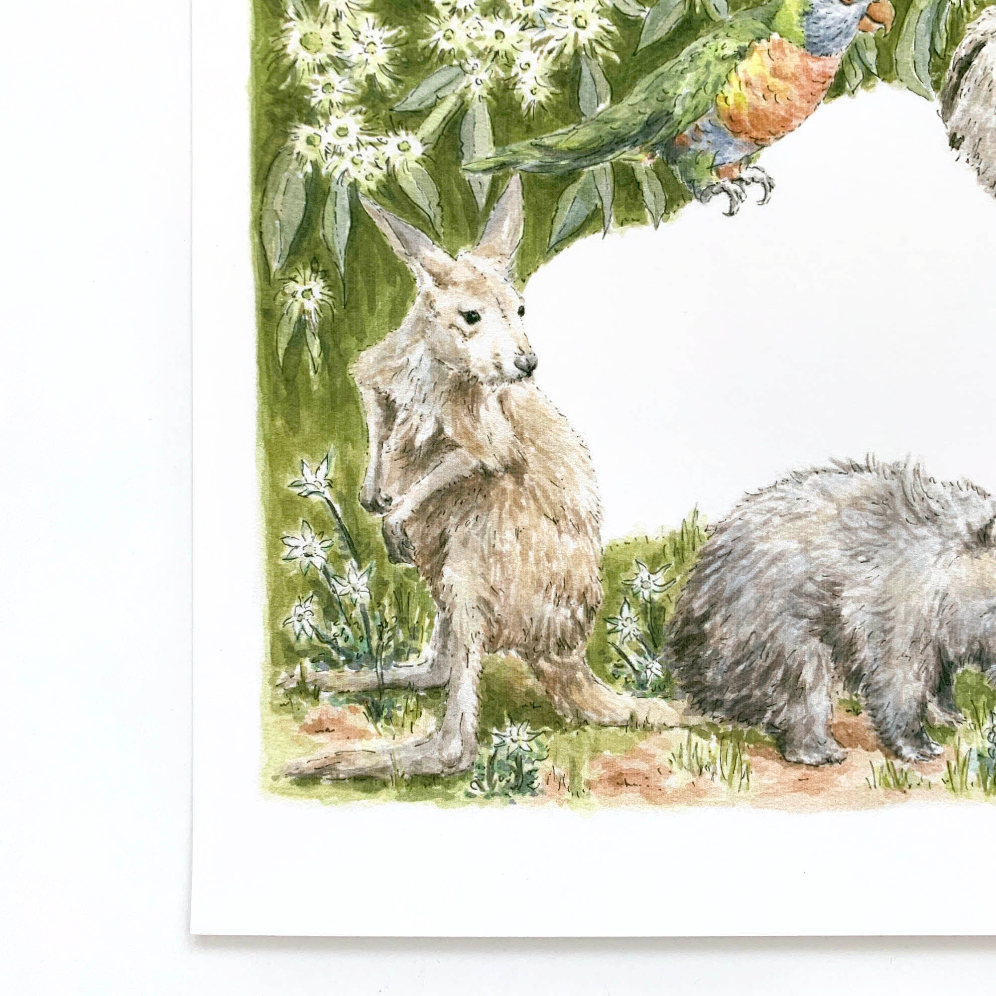 Australian Animals Art Print // Nursery Art Print, Australian Souvenir ...