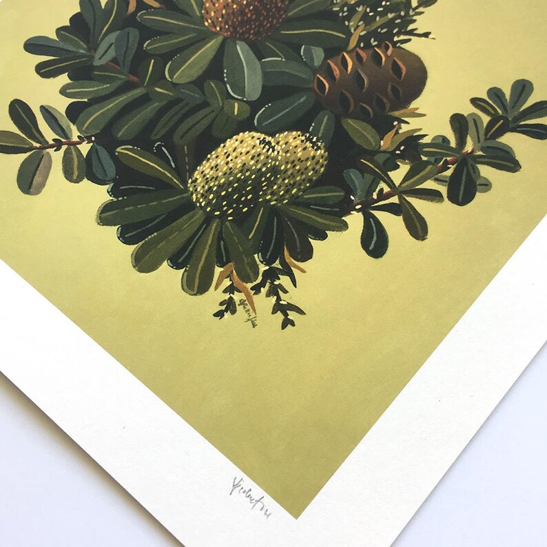 Australian Native Botanical Print / Green Banksia Artwork / - Etsy