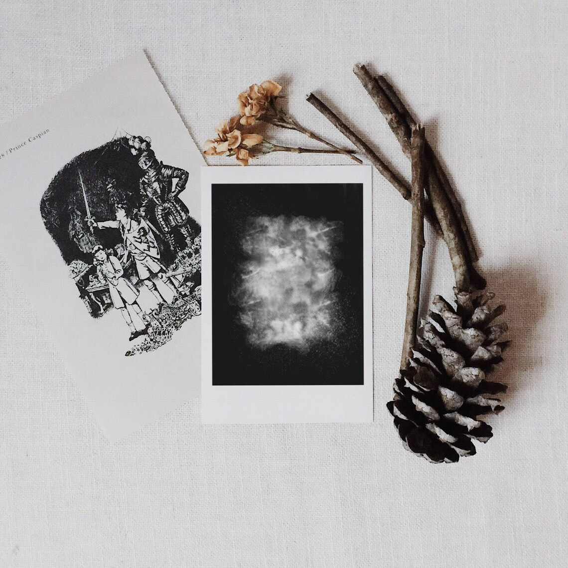 Deep Magic the Lion the Witch and the Wardrobe Abstract | Etsy