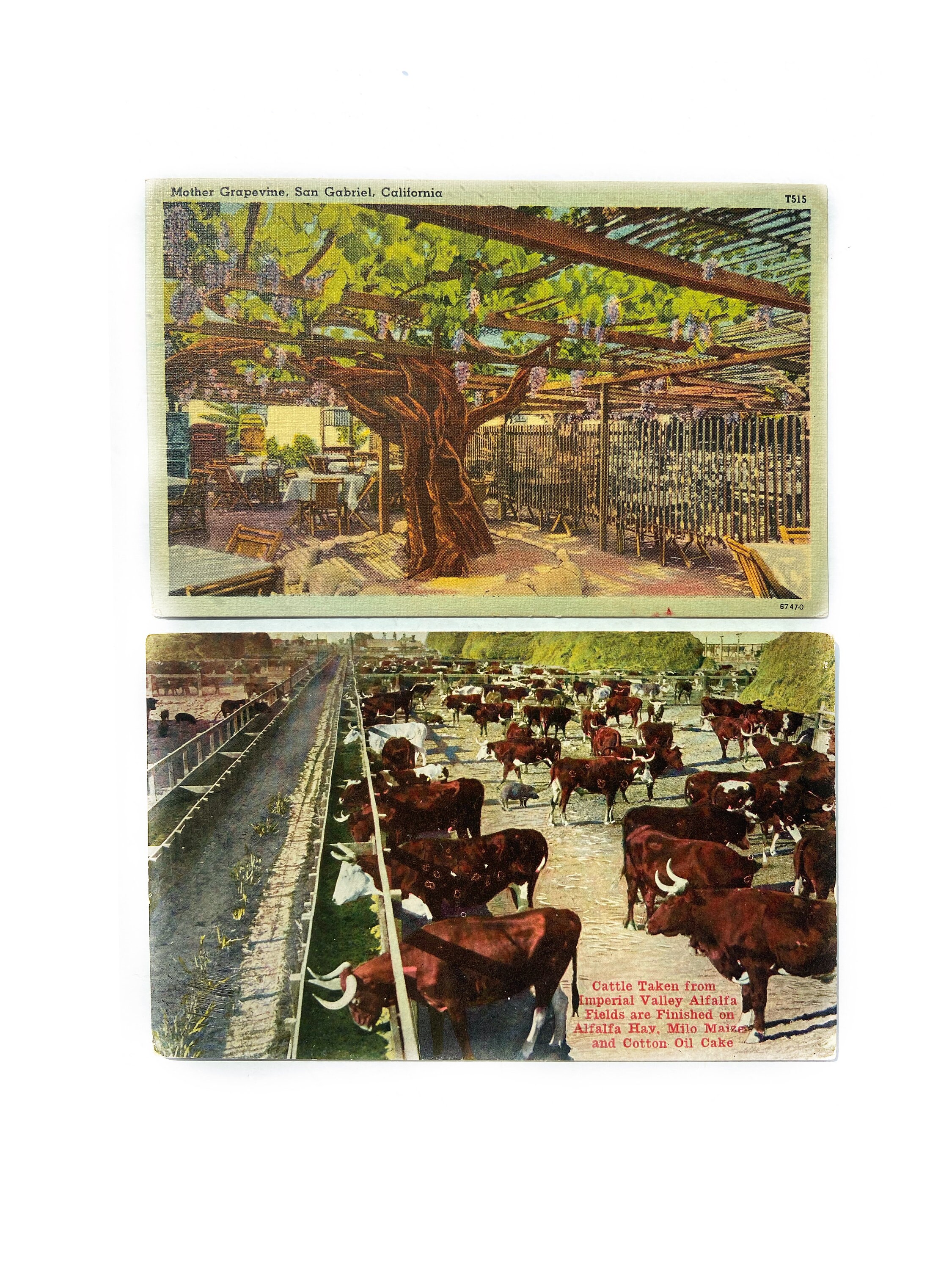 Vintage Set of 4 California Postcards, Mission Inn Riverside, Glenwood ...