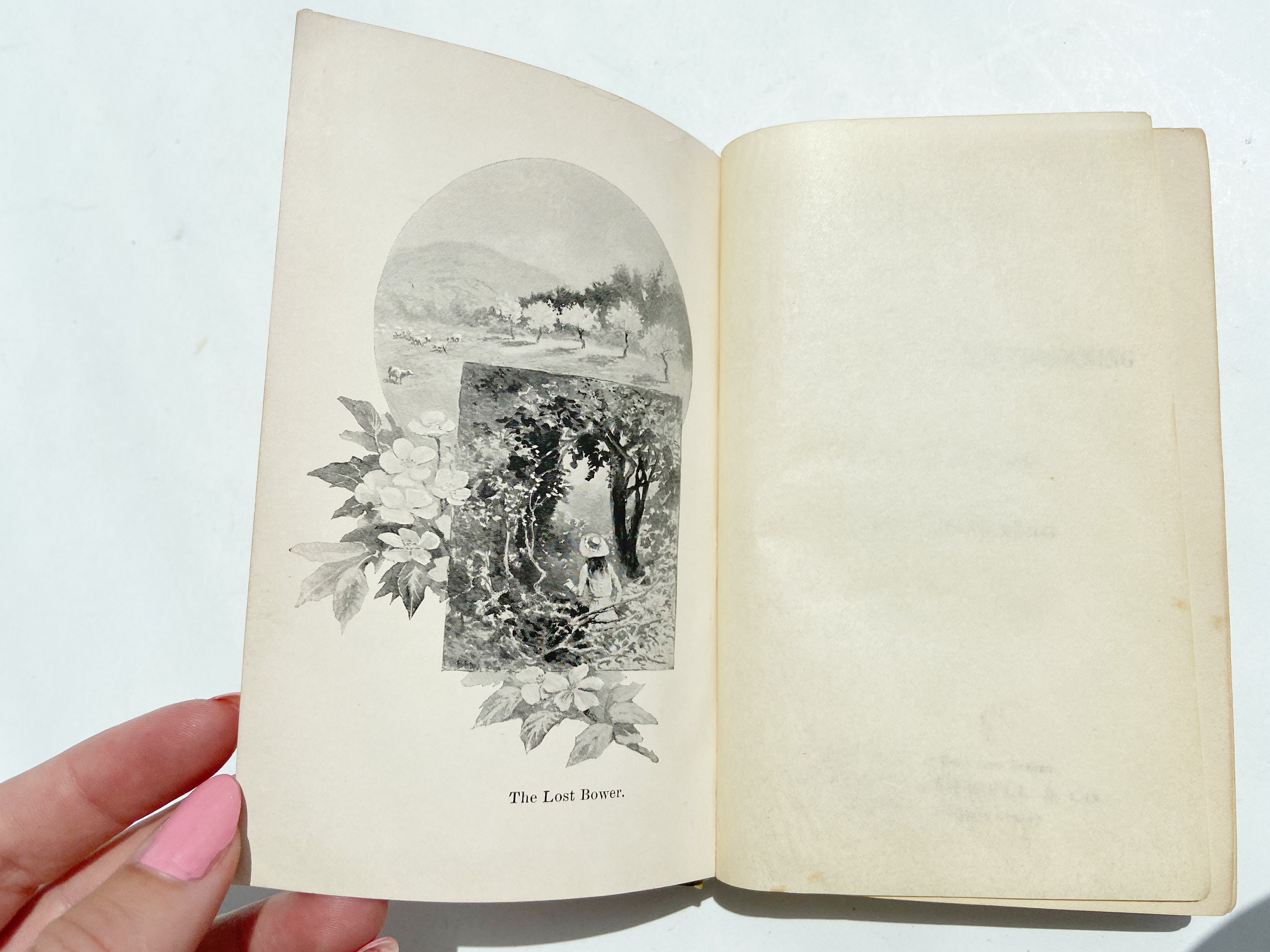 Mrs. Brownings Poems Poems by Elizabeth Barrett Browning - Etsy