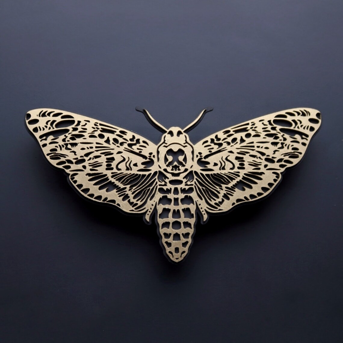 Death Head Moth Laser Cut Wall Plaque - Etsy