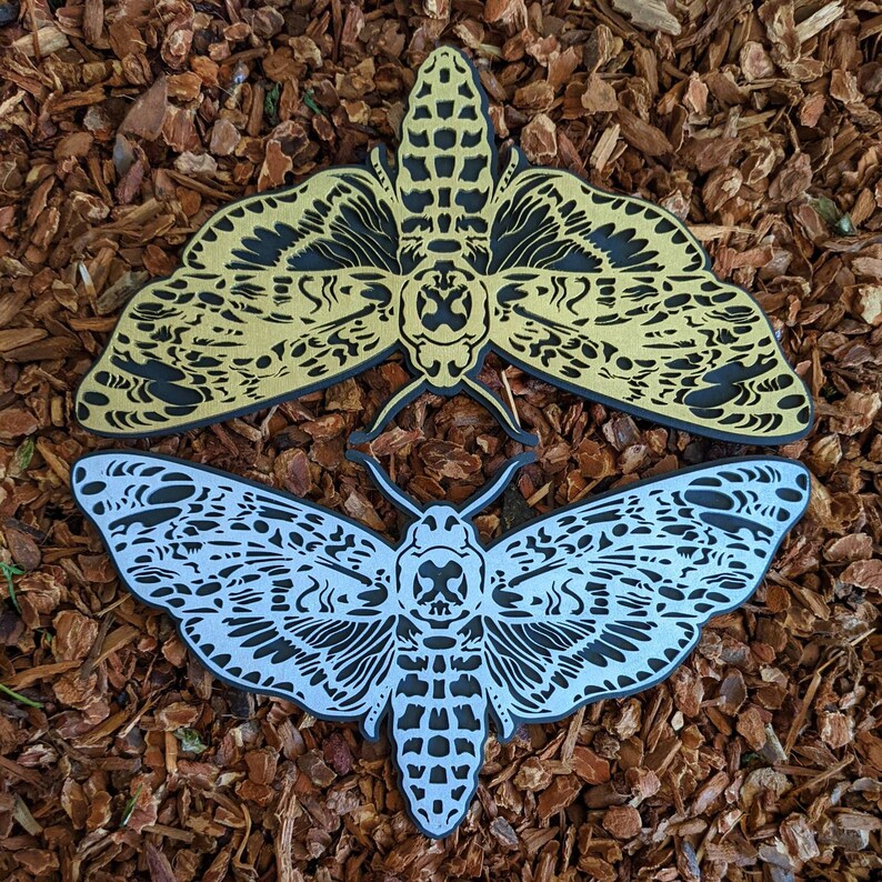 Death Head Moth Laser Cut Wall Plaque - Etsy