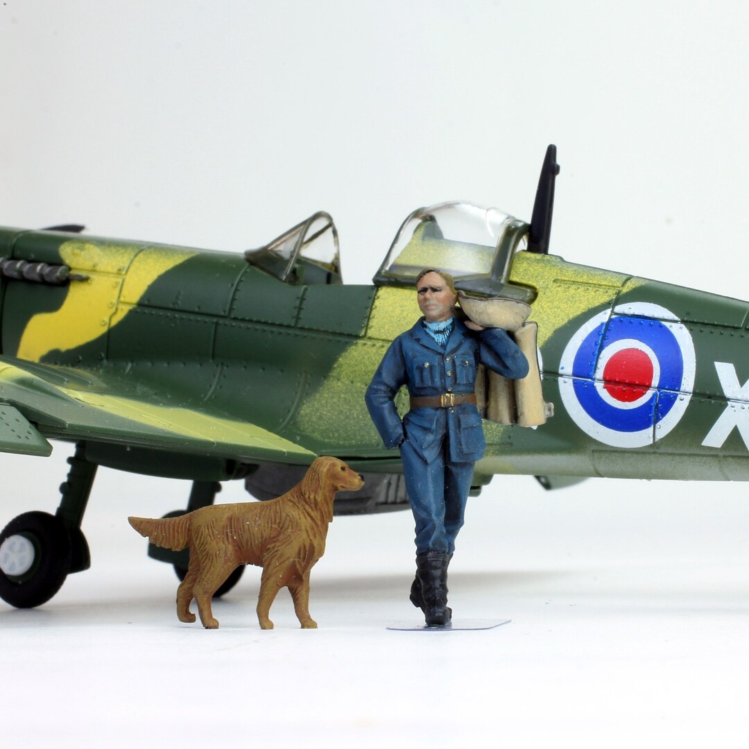 Pro-painted Figure RAF Pilot and Dog WWII 1:48 (aircraft is Not ...
