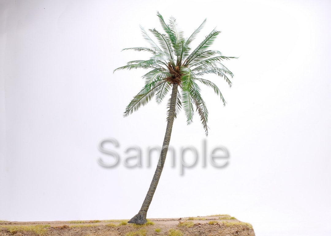 Vietnamese Coconut Tree (15 Inches) for Diorama 1:35 Scale ...