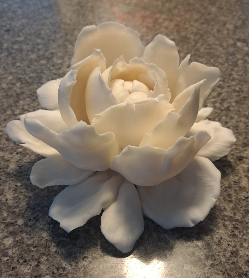 White Peony Real Porcelain Flower, Wall / Table Art, Ceramic Flowers ...