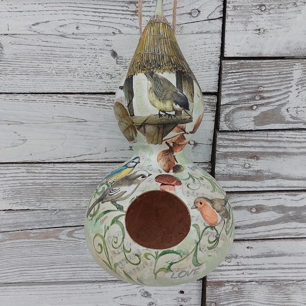 Gourd Bird House - Etsy