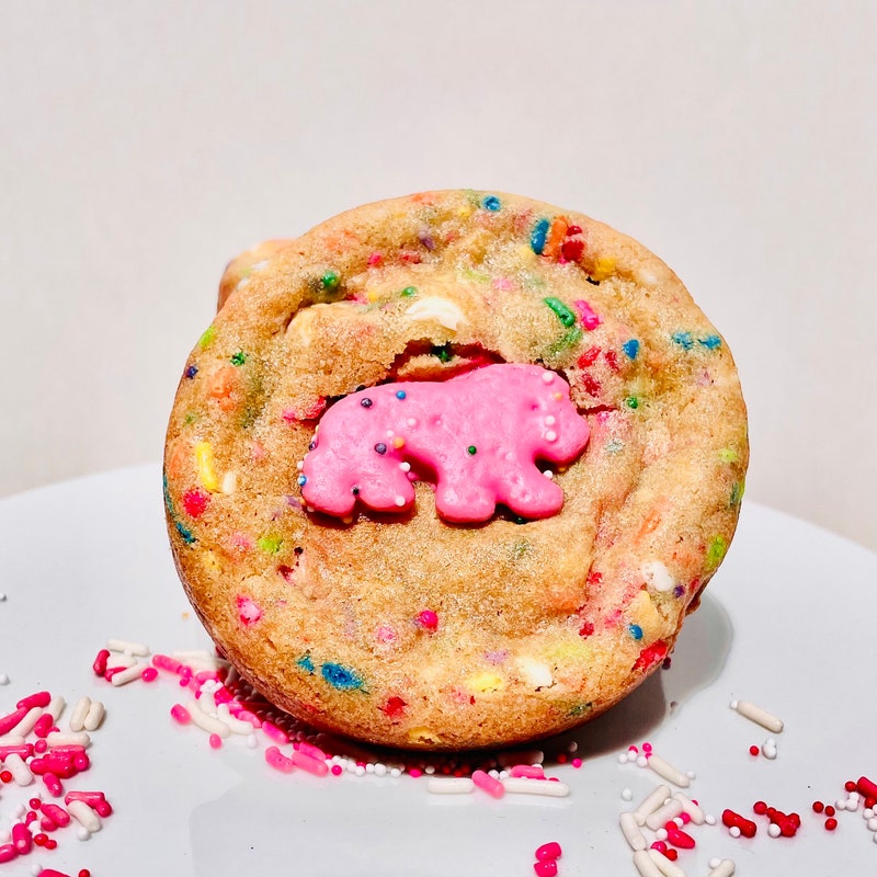 Circus Cookies - Etsy