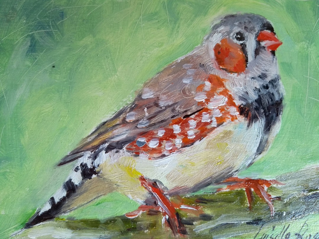 Bird Bengali Oill Original Paiting, Colorful Artwork, Fine Art Original ...