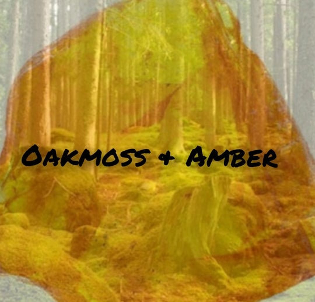 100% Oakmoss and Amber Fragrance Oil - Etsy