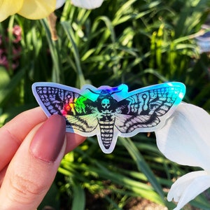 Deaths Head Hawk Moth Holographic Sticker: Rainbow Insect Decal - Etsy