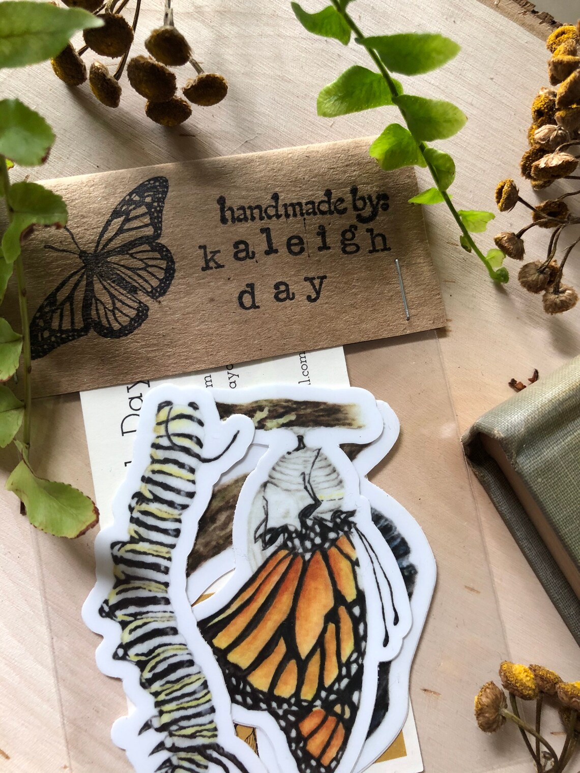 Monarch Butterfly Life Cycle Stages Vinyl Sticker Bundle, Cottagecore ...