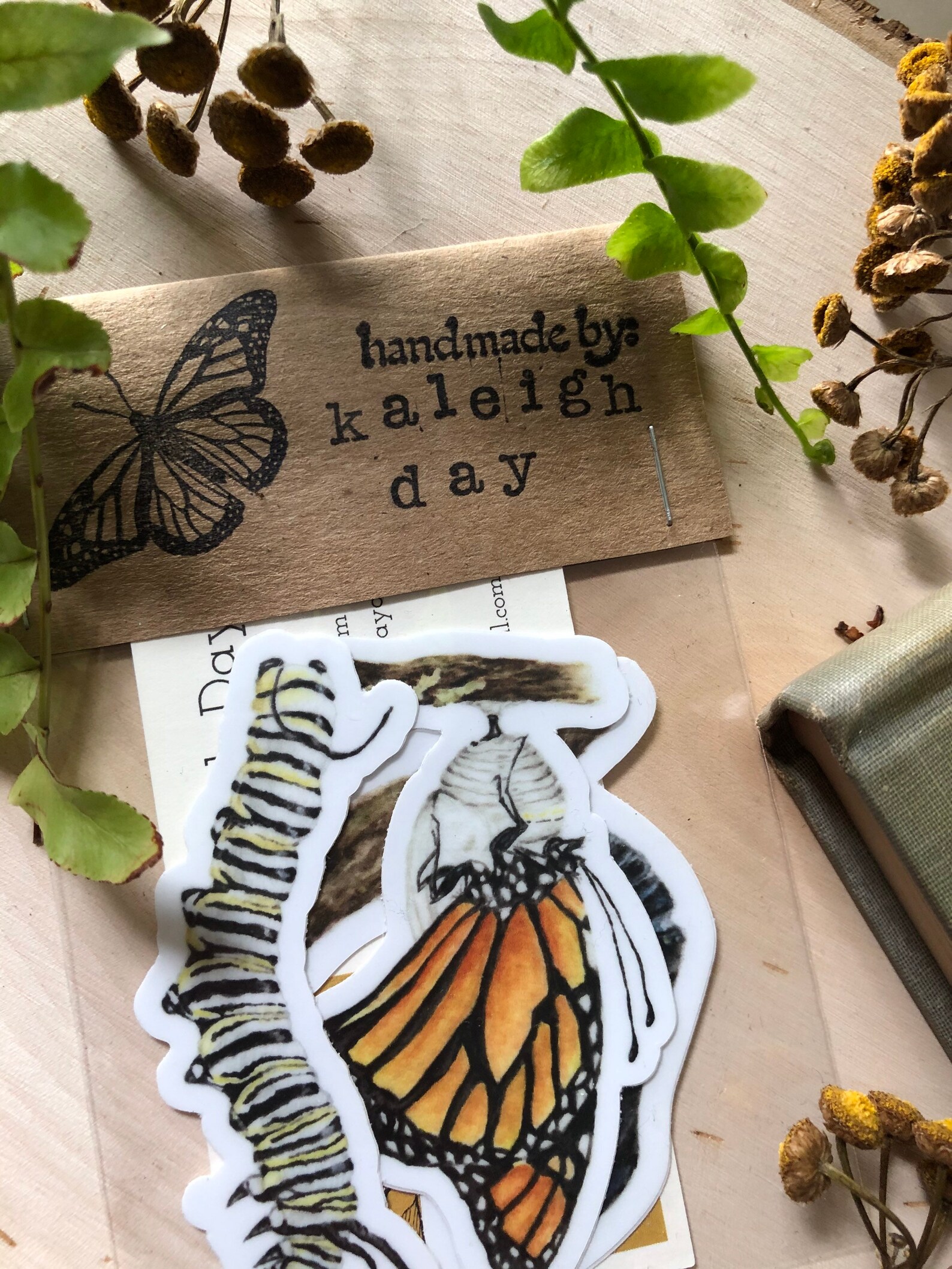 Monarch Butterfly Life Cycle Stages Vinyl Sticker Bundle - Etsy