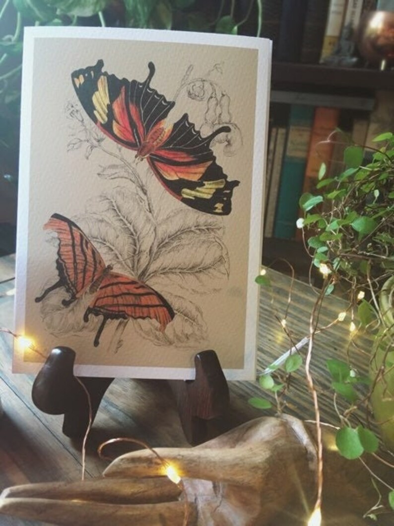Cottagecore Butterfly Giclee Art Print Decoración de pared - Etsy España