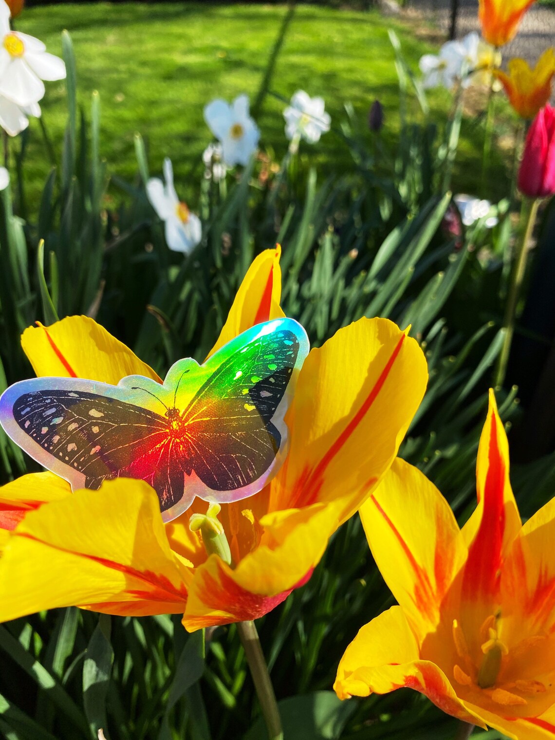 Holographic Butterfly Sticker - Etsy