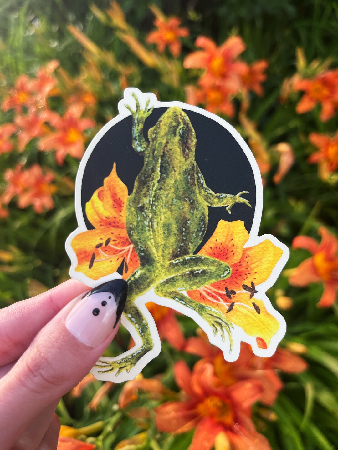 Cottagecore Frog Sticker: Watercolor Tiger Lily Vinyl Decal - Etsy