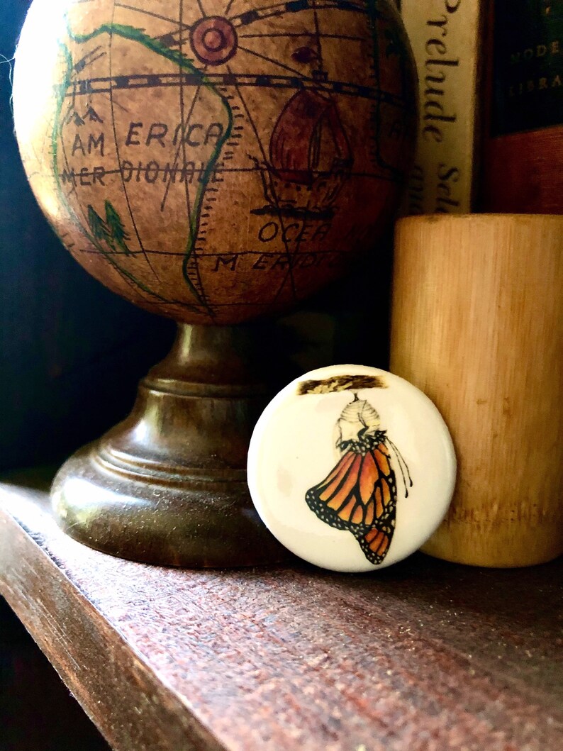 Monarch Butterfly Life Cycle Stages Pinback Button Bundle Set | Etsy