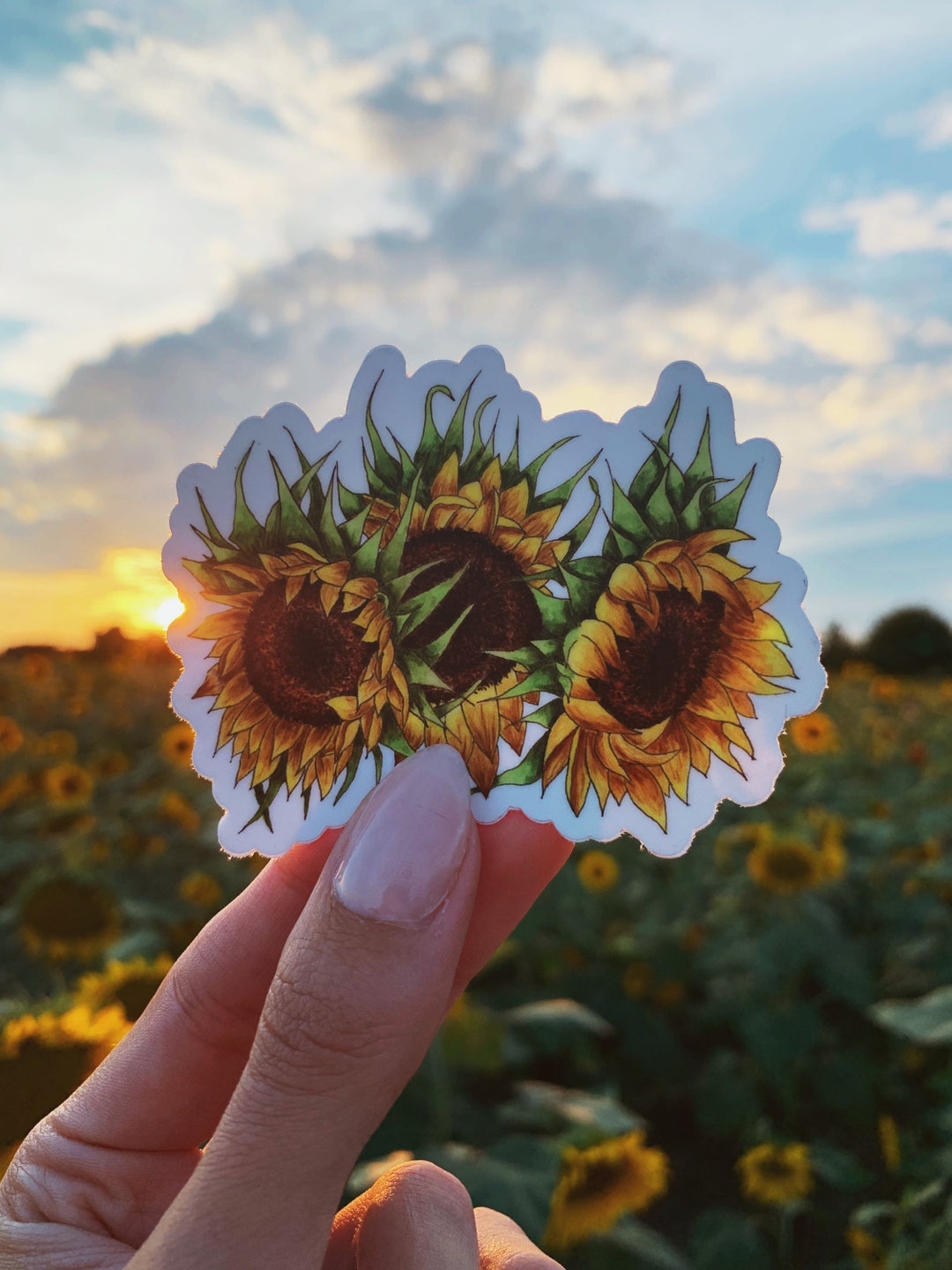 Sunflower Sticker, Watercolor Floral Stickers, Botanical Sticker ...