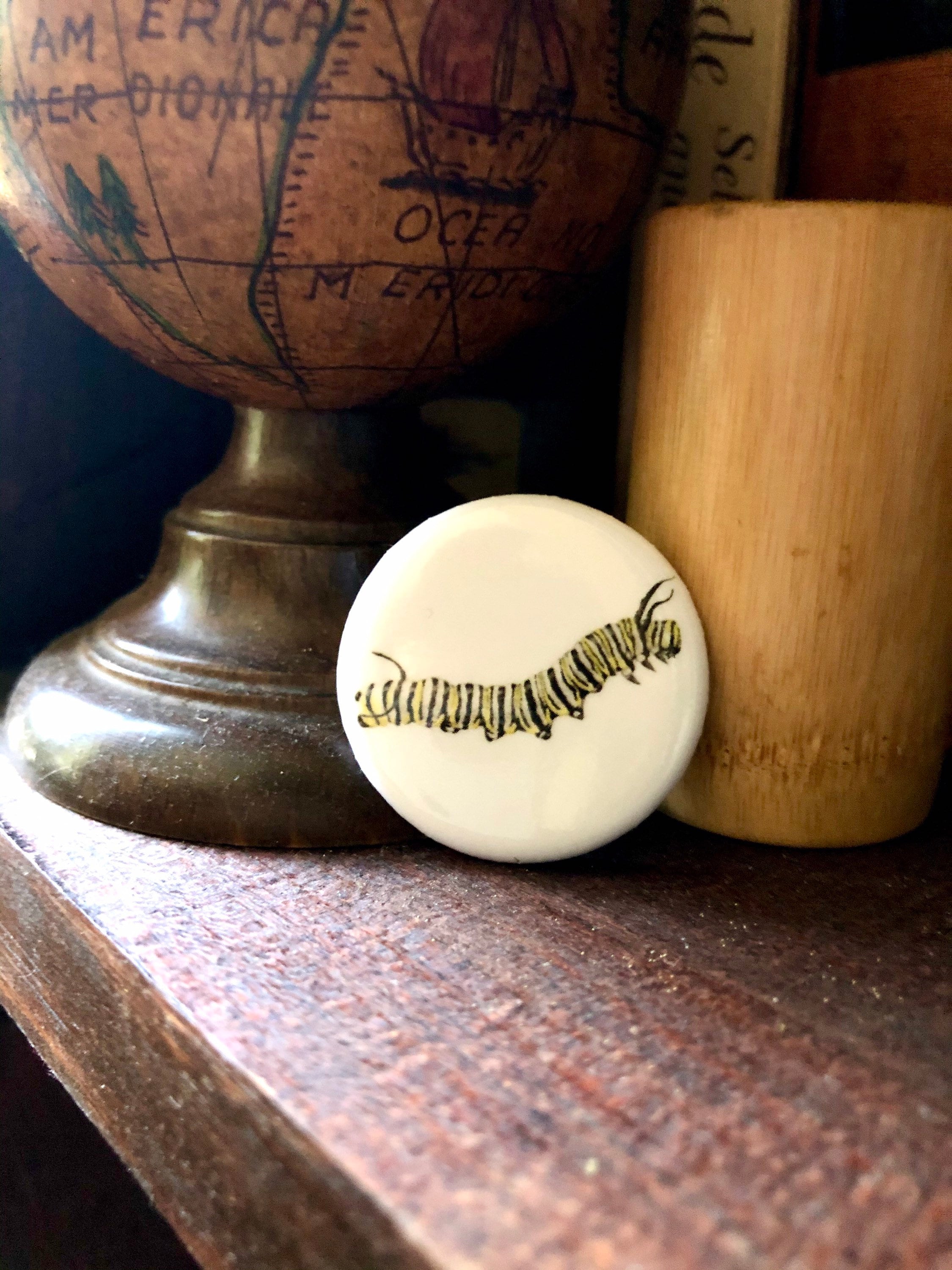 Monarch Butterfly Life Cycle Stages Pinback Button Bundle Set | Etsy