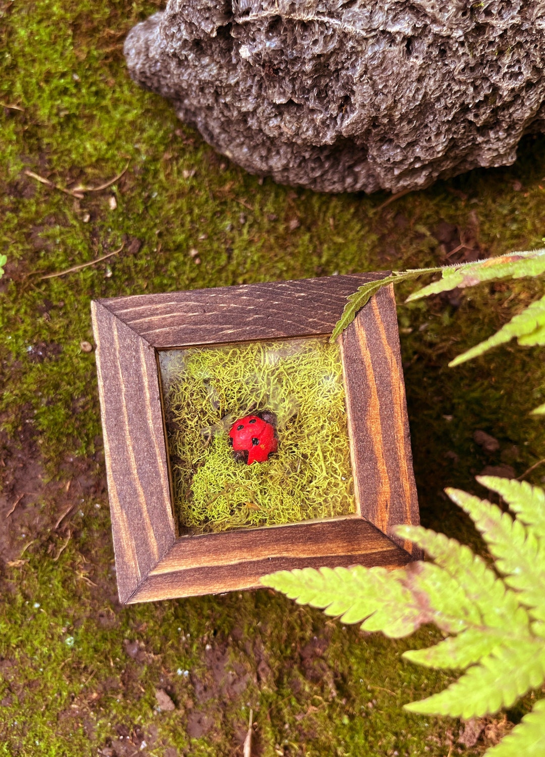Ladybug Cottagecore Lidded Trinket Box | Dark Academia Insect Jewelry ...
