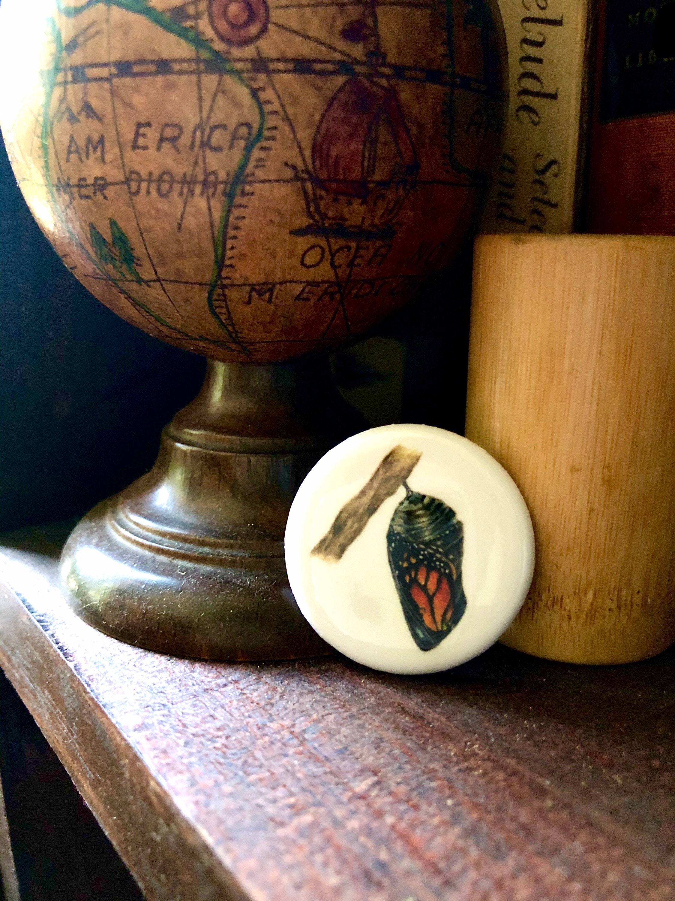 Monarch Butterfly Life Cycle Stages Pinback Button Bundle Set | Etsy