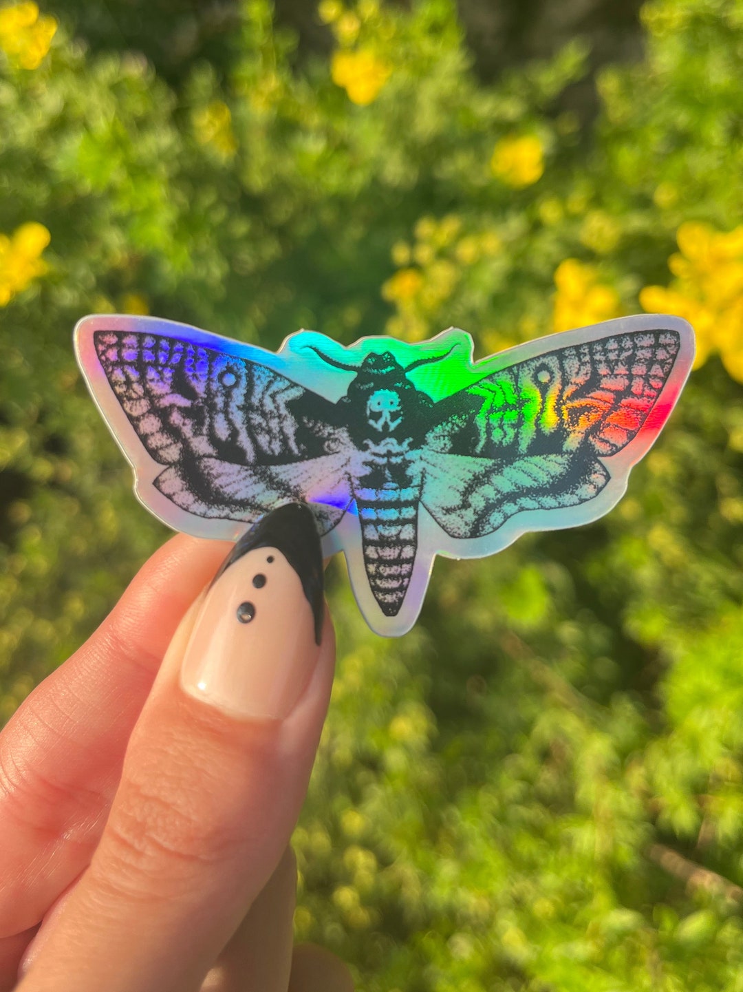 Deaths Head Hawk Moth Holographic Sticker: Rainbow Insect Decal - Etsy