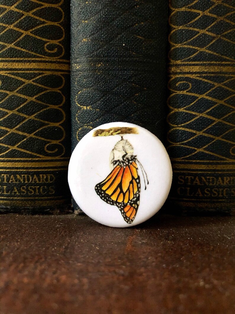 Monarch Butterfly Life Cycle Stages Pinback Button Bundle Set | Etsy
