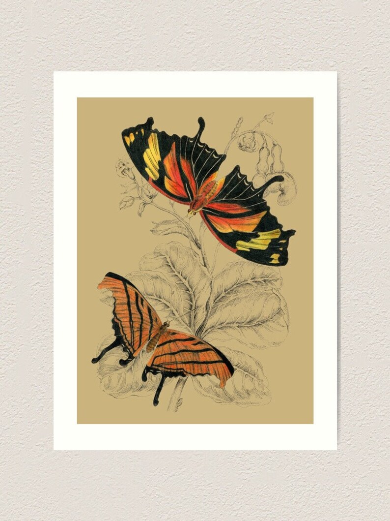 Cottagecore Butterfly Giclee Art Print Decoración de pared - Etsy España