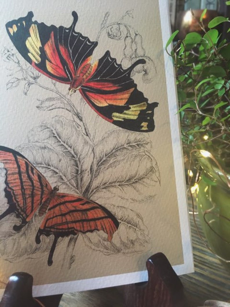 Cottagecore Butterfly Giclee Art Print Decoración de pared - Etsy España