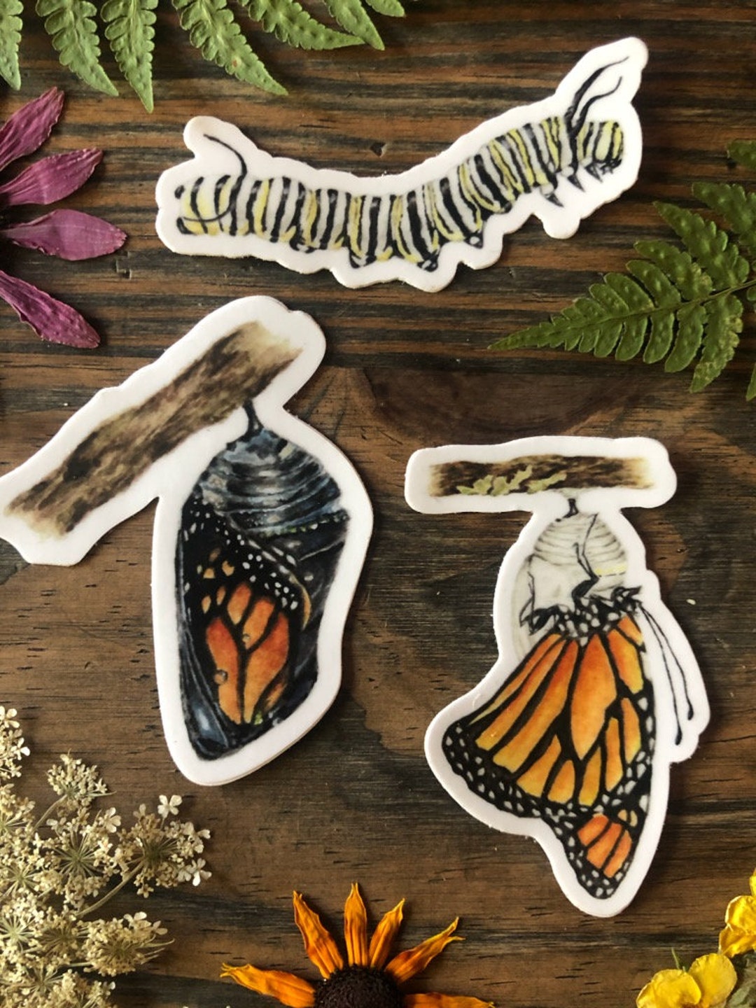 Monarch Butterfly Life Cycle Stages Vinyl Sticker Bundle, Cottagecore ...