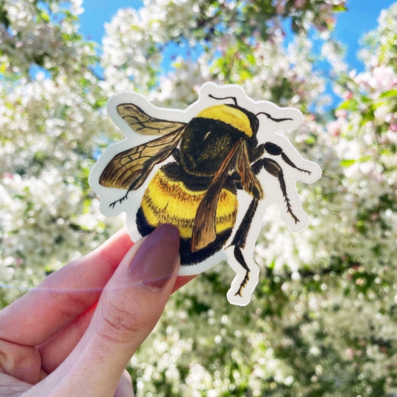 Bee Sticker - Etsy