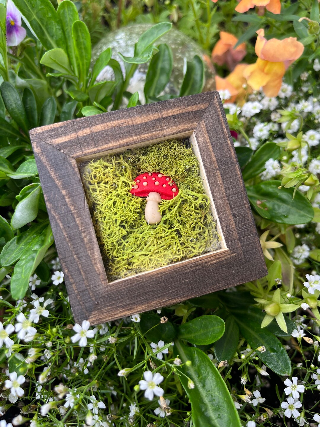 Mushroom Cottagecore Lidded Trinket Box | Dark Academia Fungi Jewelry ...