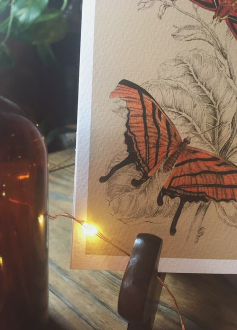 Cottagecore Butterfly Giclee Art Print Decoración de pared - Etsy España