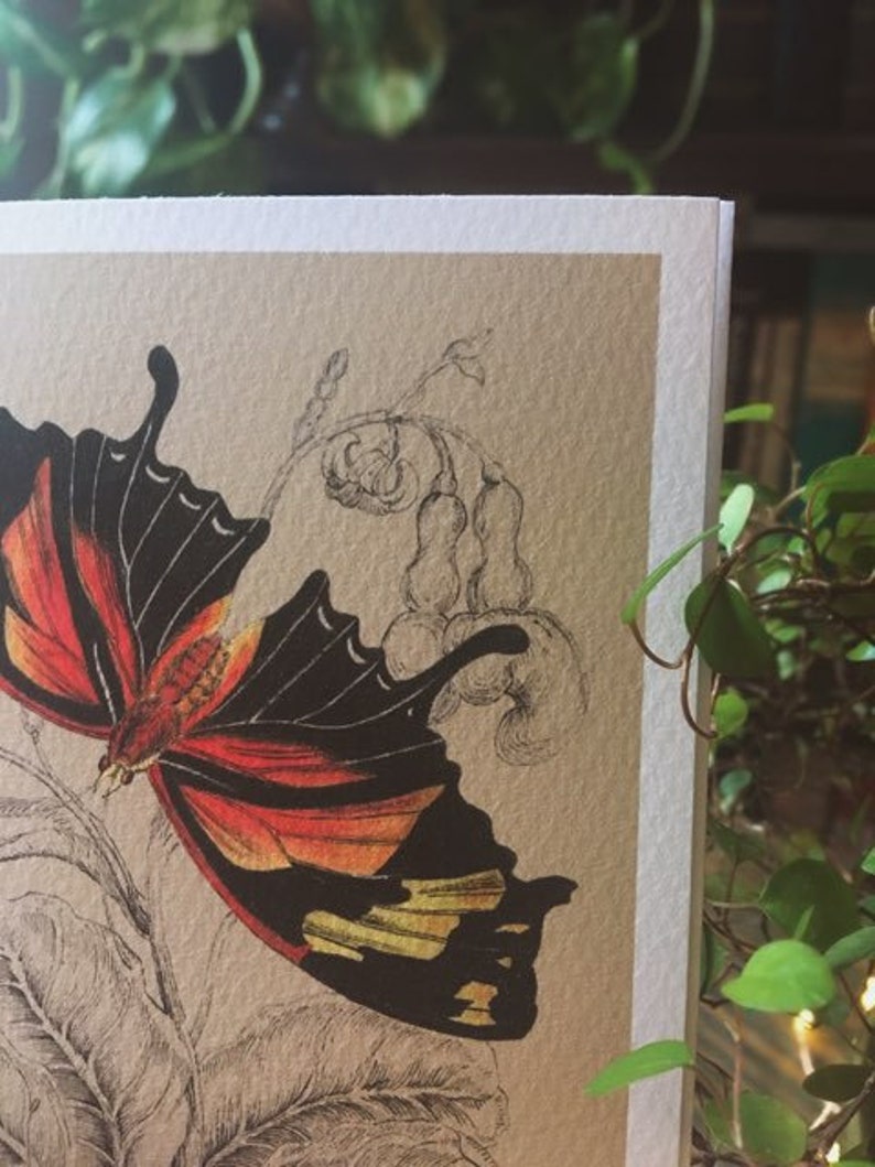 Cottagecore Butterfly Giclee Art Print Decoración de pared - Etsy España