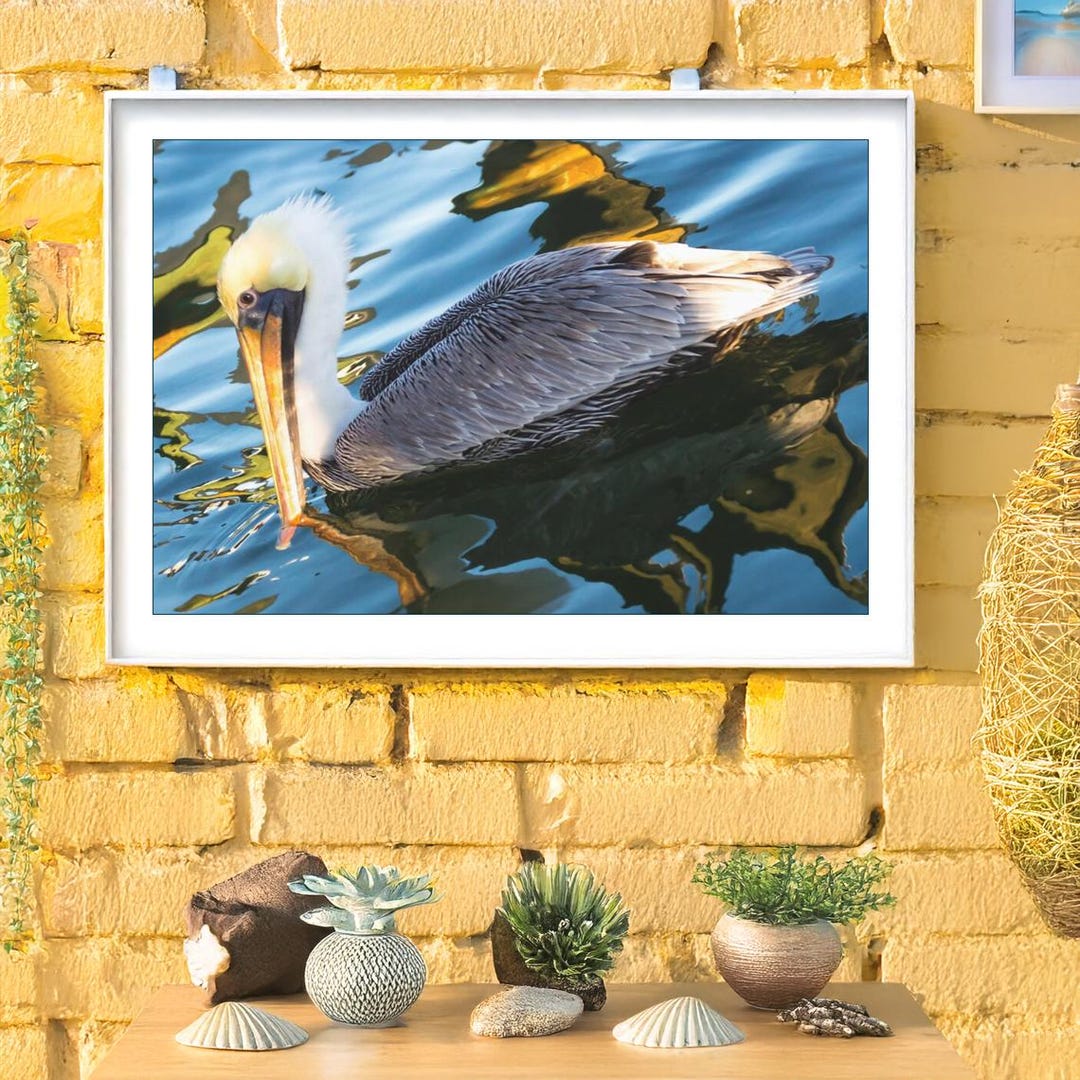 Canvas Stretched, Pelican Drift Dreamy Water Vibrant, Wall Art, Home ...