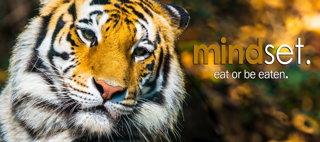 Digital Print, Tiger Motivational Quote, Office Decor, Digital Download ...