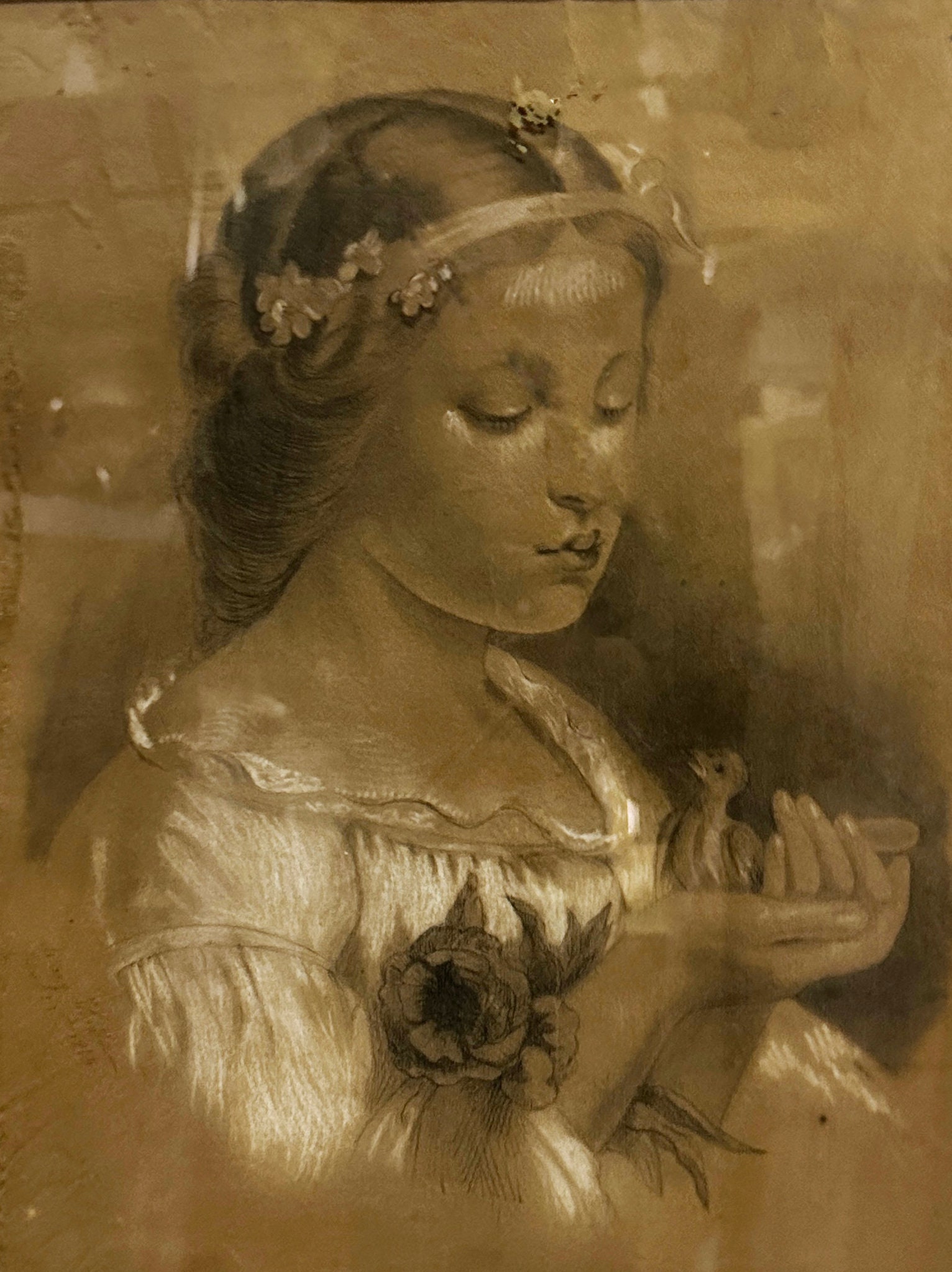 Drawing by Illegible Artist: Portrait of a Girl With a Bird on Her ...