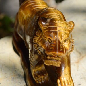 Hand Carved Tiger Eye Tigress II - Etsy