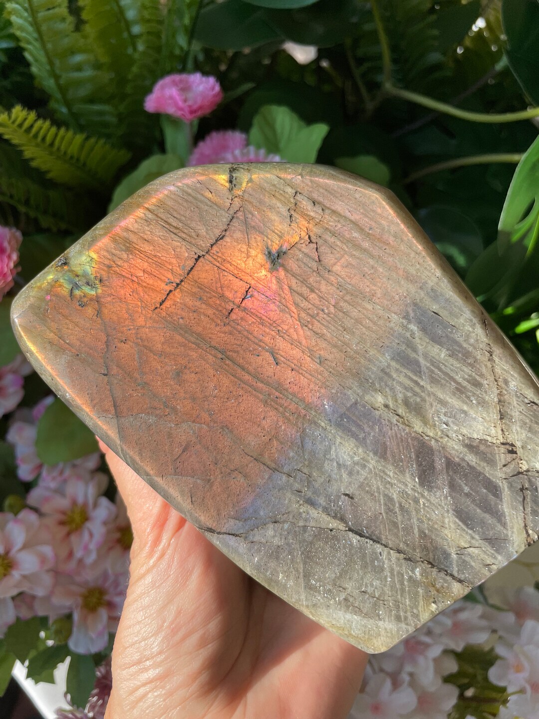 Large Flashy Labradorite Self Standing Freeform /sunset Pink - Etsy