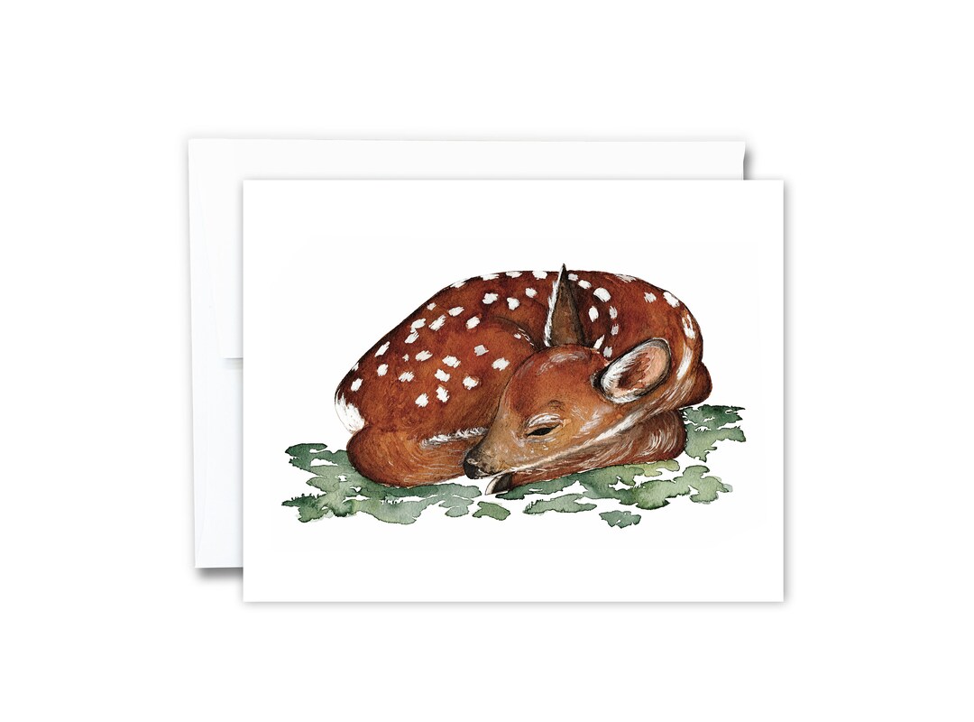 Baby Deer Card | Blank Inside, Wildlife Greeting Cards, Sleeping Deer ...